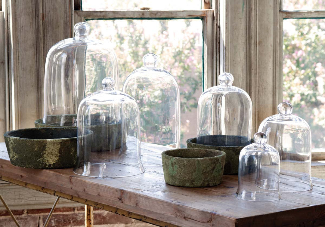 Large Glass Cloche Jars